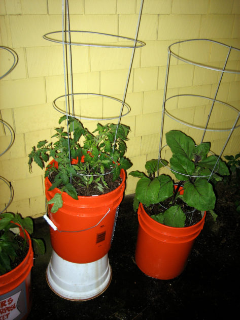 Out of Space? Consider Container Gardening | Be Self SufficientBe Self ...